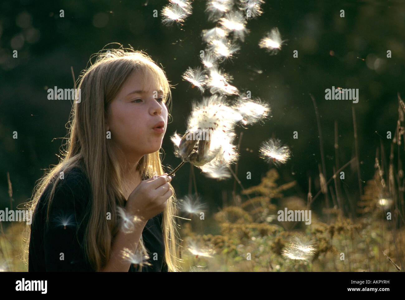 Scattering seed hi-res stock photography and images - Alamy