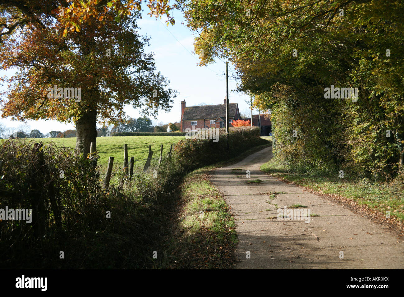 Surrey countryside in autumn Stock Photo - Alamy