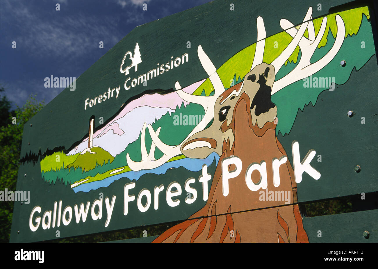 Forestry Commission sign Stock Photo - Alamy