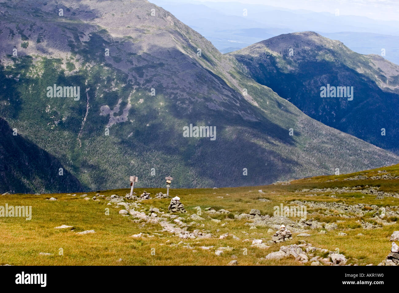Hill above treeline hi-res stock photography and images - Alamy