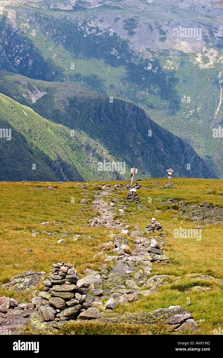 Hill above treeline hi-res stock photography and images - Alamy