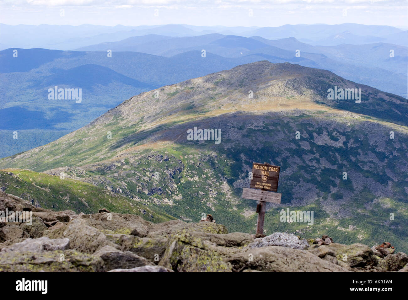 Hill above treeline hi-res stock photography and images - Alamy