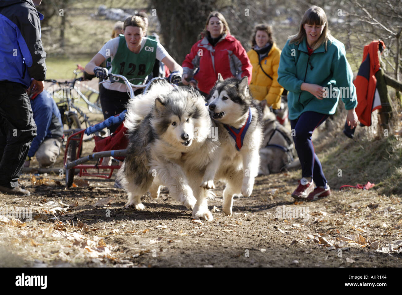 Siderian hi-res stock photography and images - Alamy