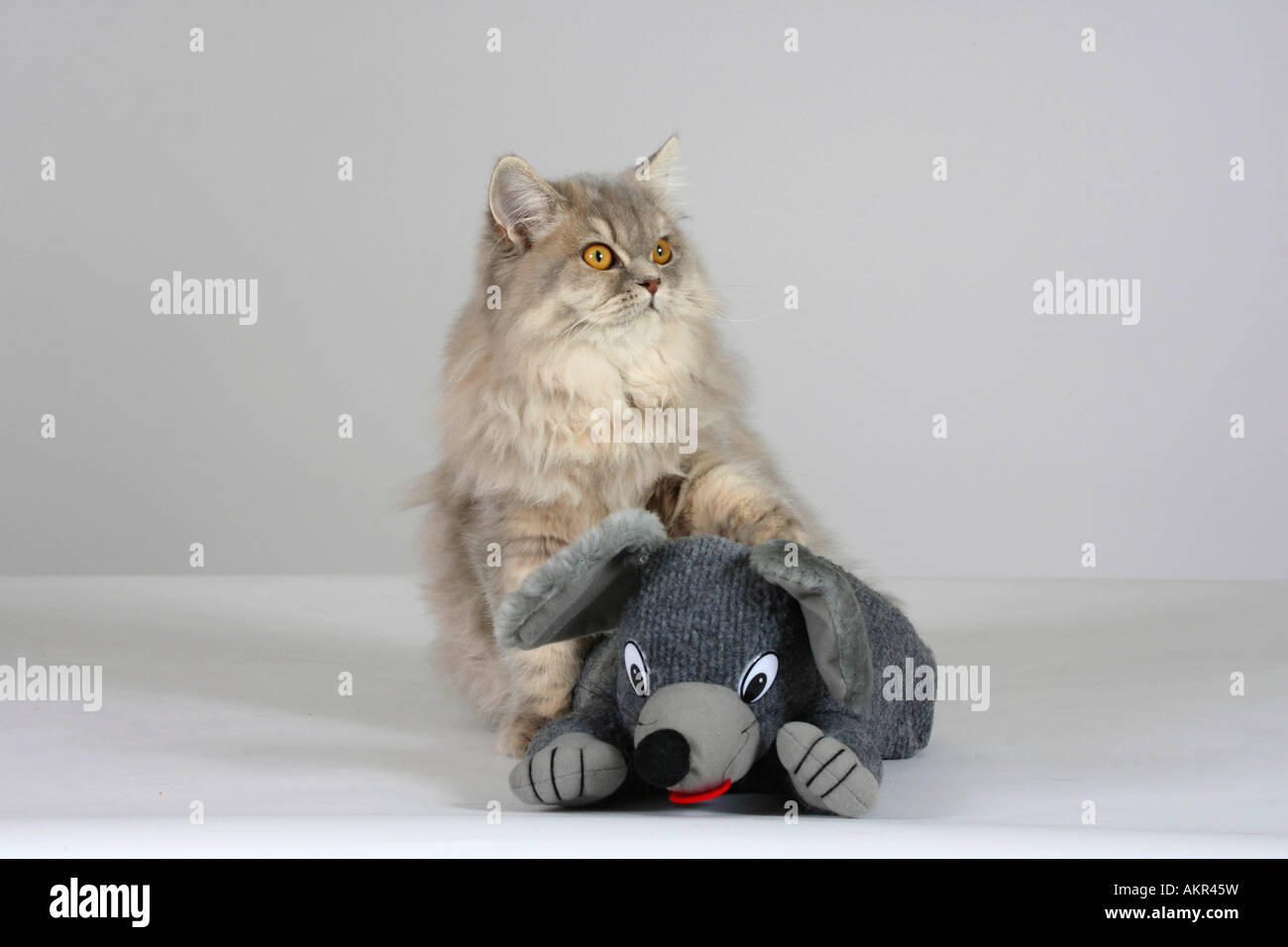 Blue mouse toy Cut Out Stock Images & Pictures - Alamy
