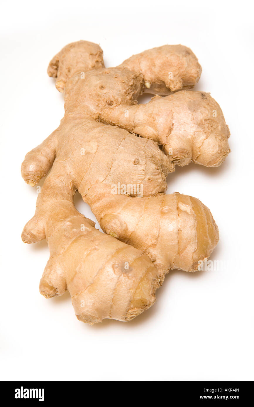 Root ginger bulb isolated on a white studio background Stock Photo - Alamy