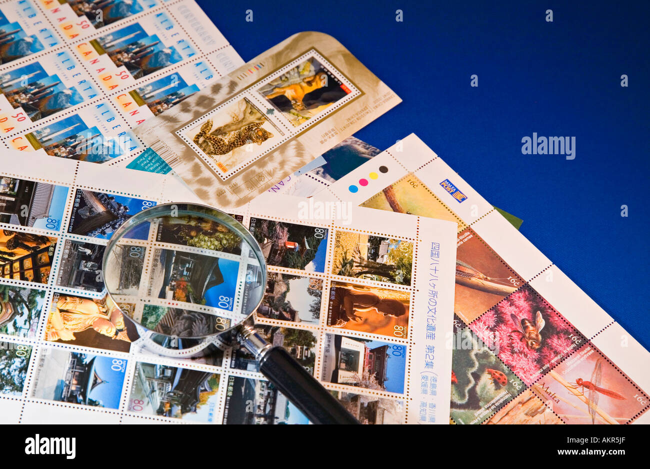 Stamp collection with magnifying glass Stock Photo - Alamy