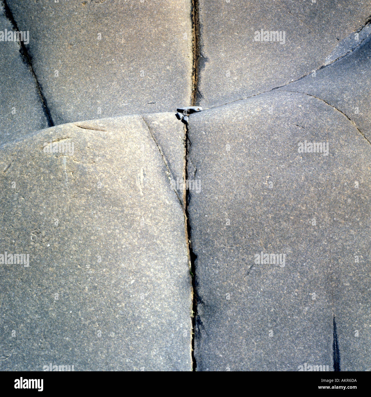 Small pebbles resting on pale cracked smooth rock formation foreshore ...
