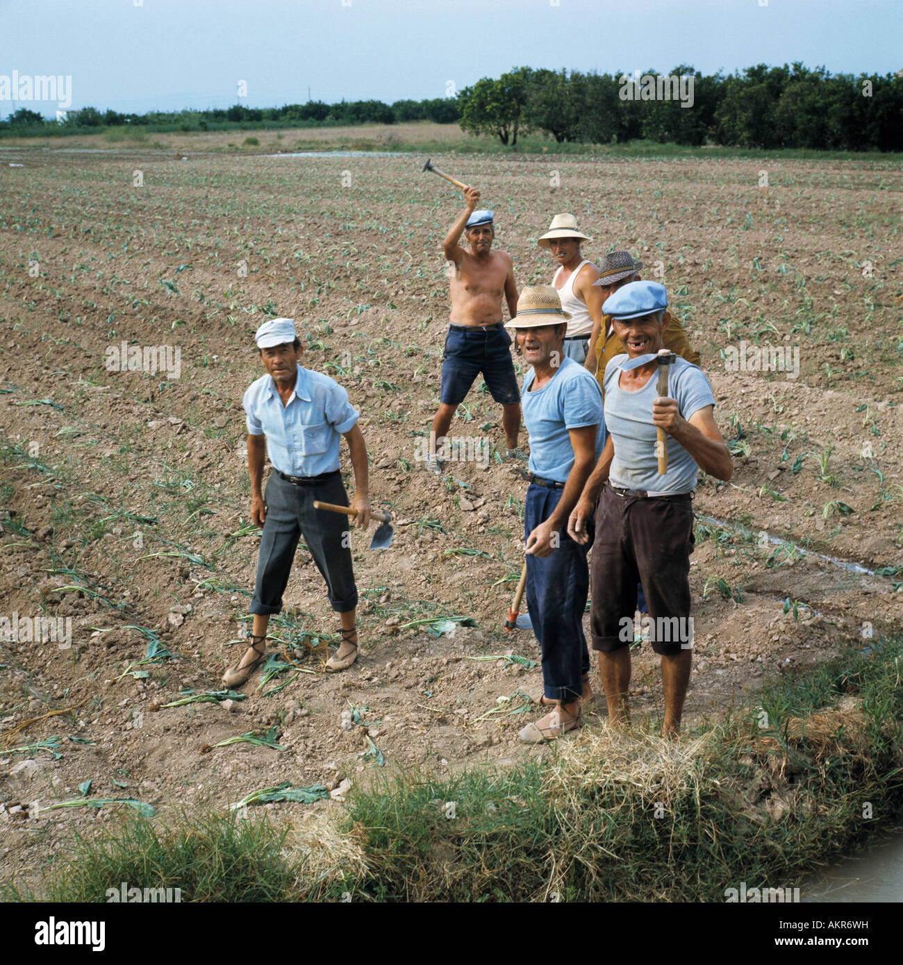 Agricultural labourers hi-res stock photography and images - Alamy