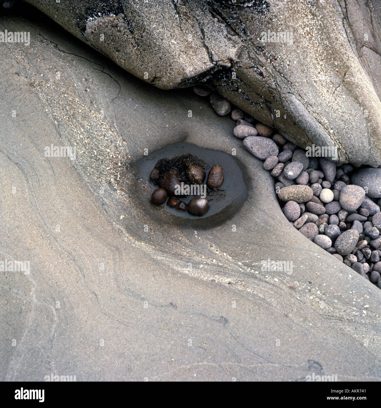 Nest of moist pebbles on pale rock formations and beach pebbles ...