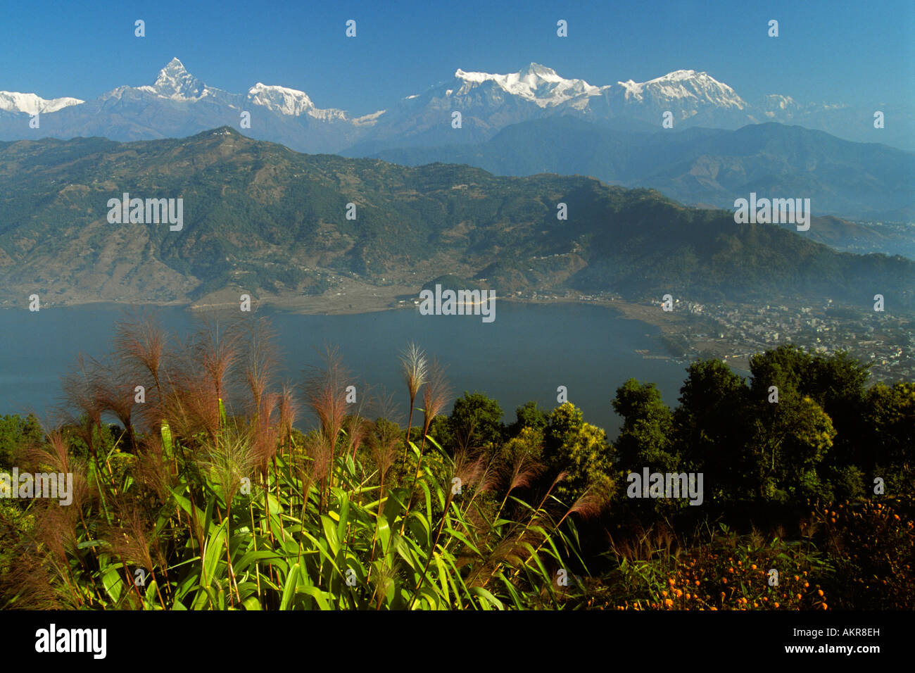 Nepal Himalaya Phewa Lake Annapurna Range Fishtail peak Stock Photo - Alamy