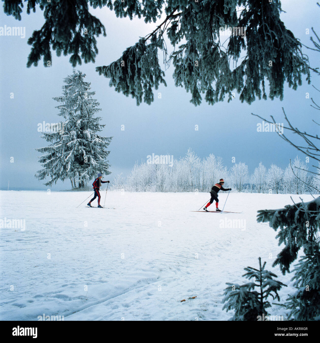 D-Schoenwald im Schwarzwald, Schwarzwald-Baar-Kreis, Black Forest ...
