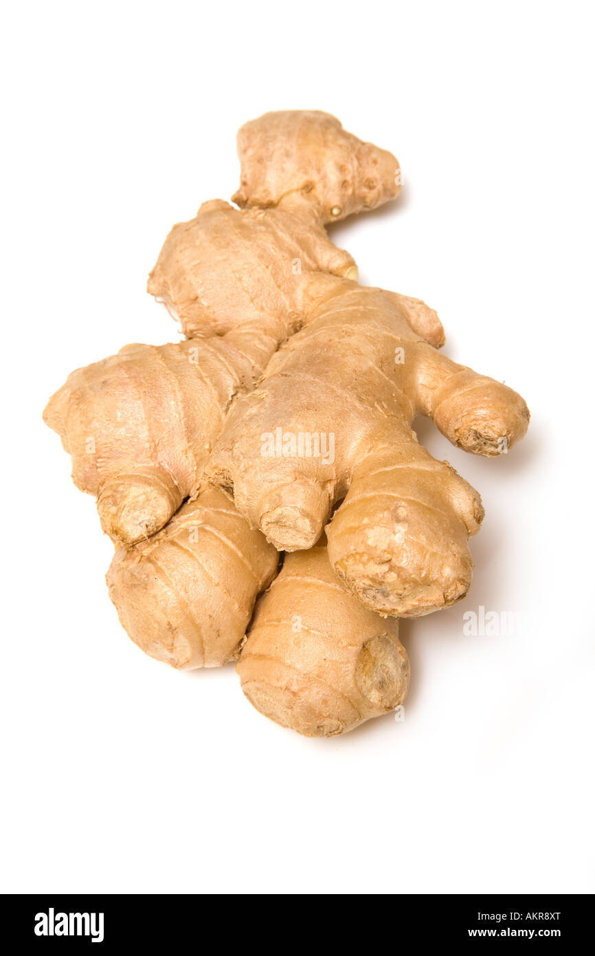 Root ginger bulb isolated on a white studio background Stock Photo - Alamy