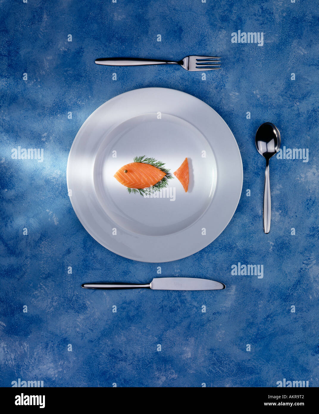 GRAPHIC IMAGE OF FRESH SALMON ARRANGED IN SHAPE OF A FISH ON WHITE ...
