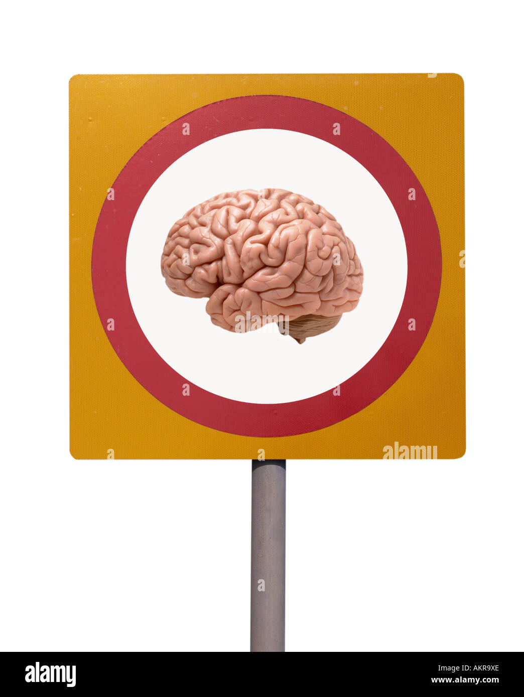 ROAD TRAFFIC WARNING SIGN WITH PICTURE OF HUMAN BRAIN Stock Photo - Alamy