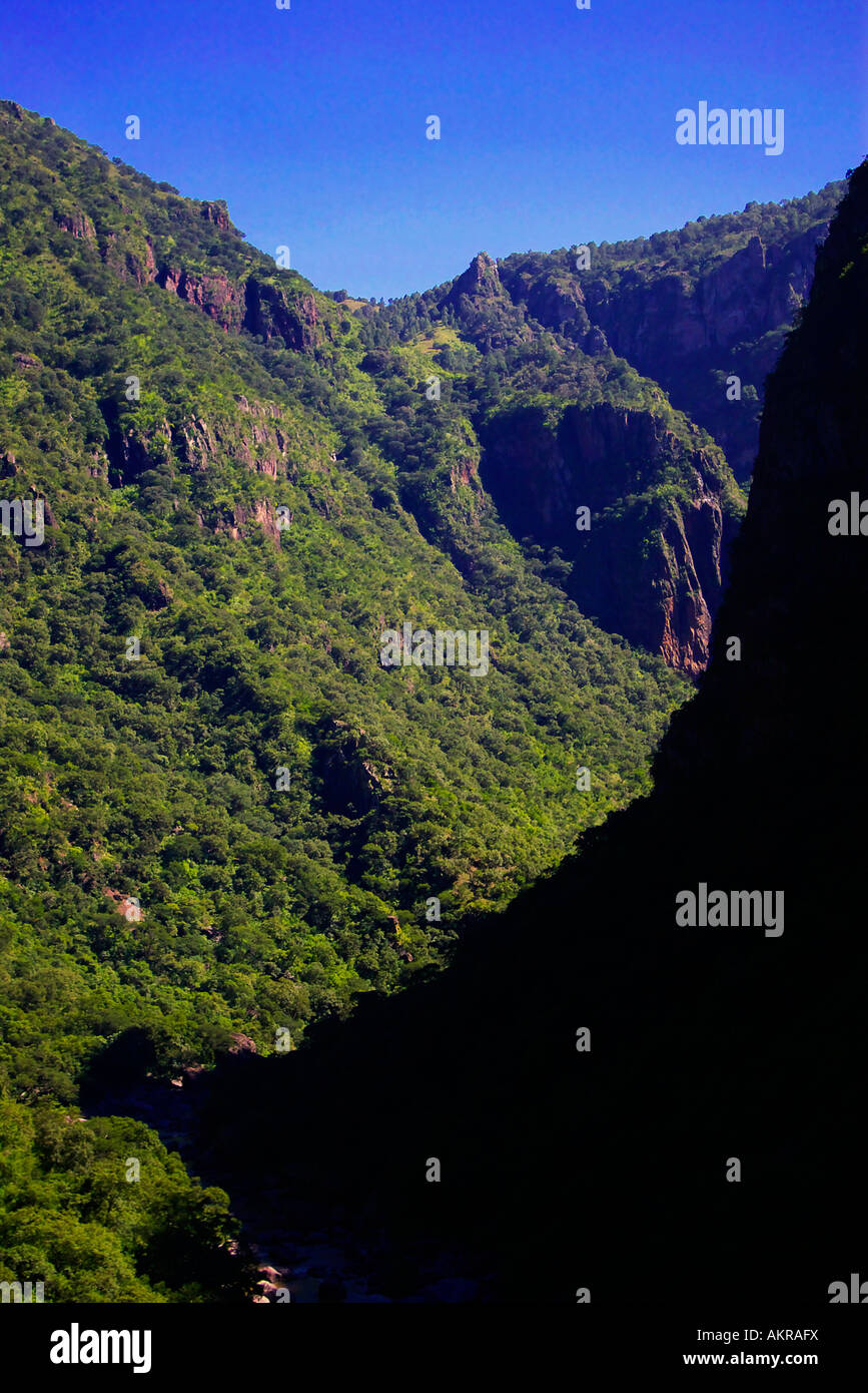 view from the train, copper canyon railway, mexico Stock Photo - Alamy