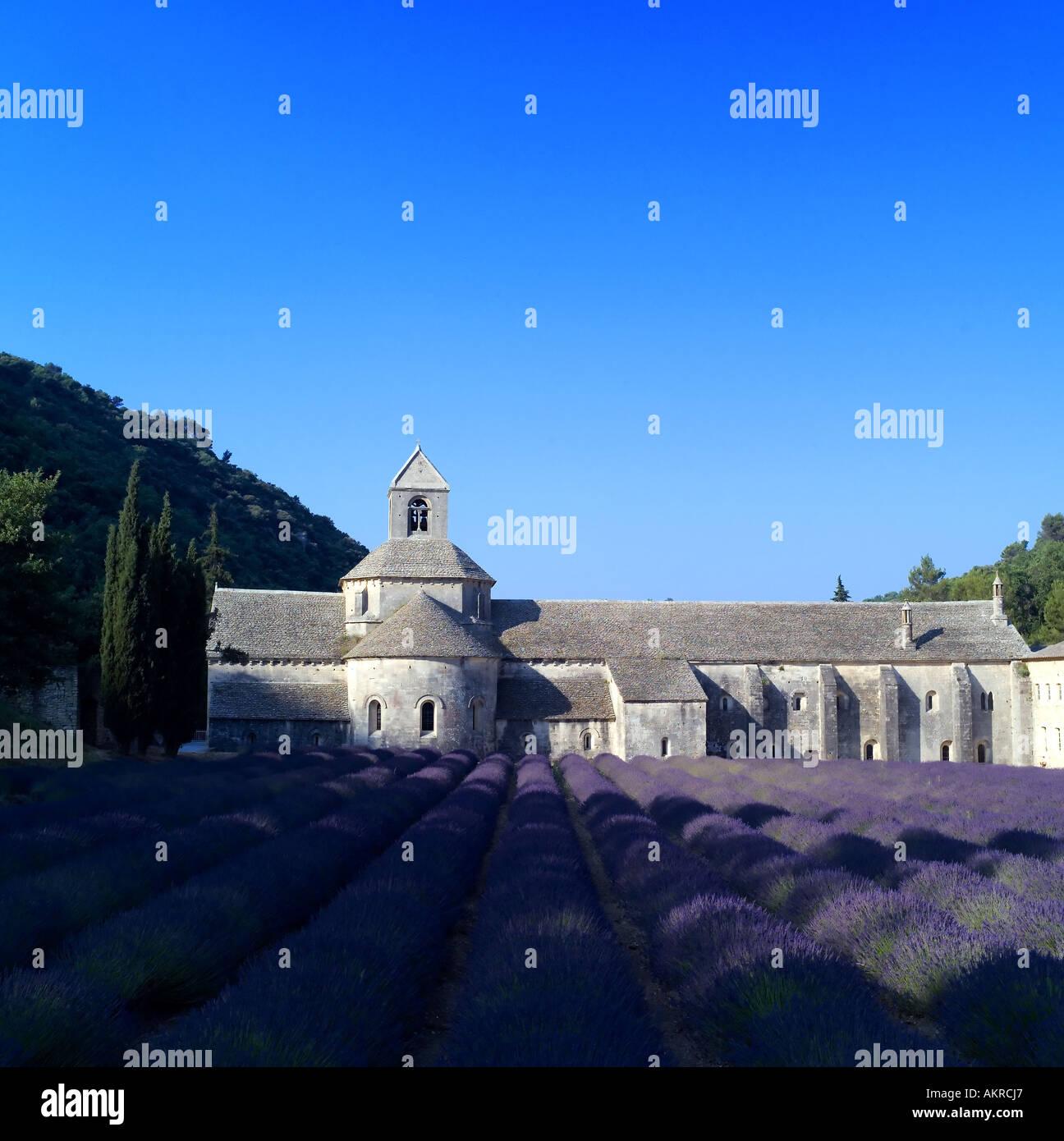 Abbaye de Sénanque, Cistercian abbey and monastery, 12th century ...