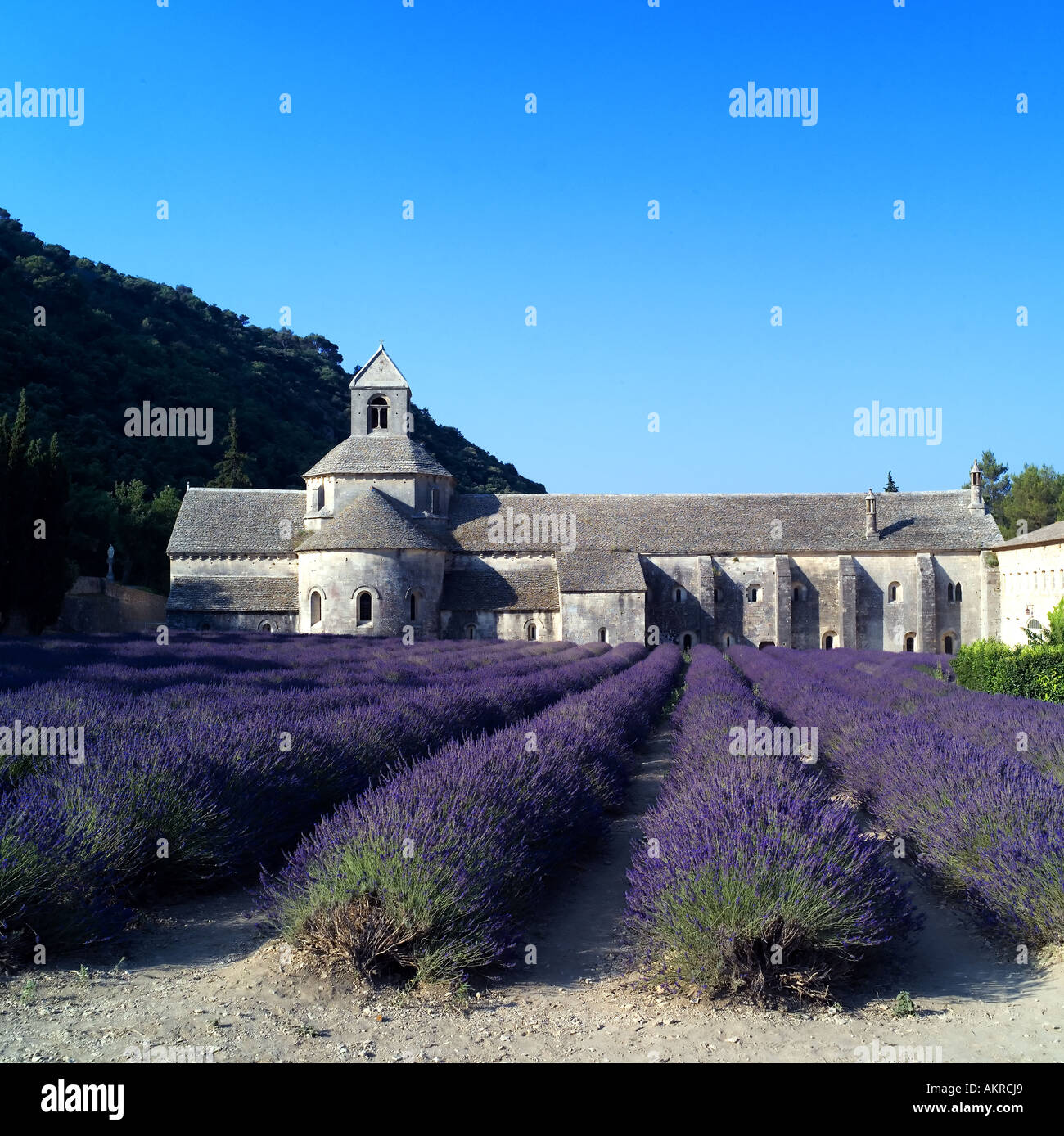 Abbaye de Sénanque, Cistercian abbey and monastery, 12th century ...