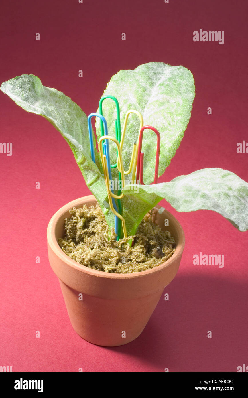 Aritificial Pot Plant and Paper Clips Stock Photo - Alamy
