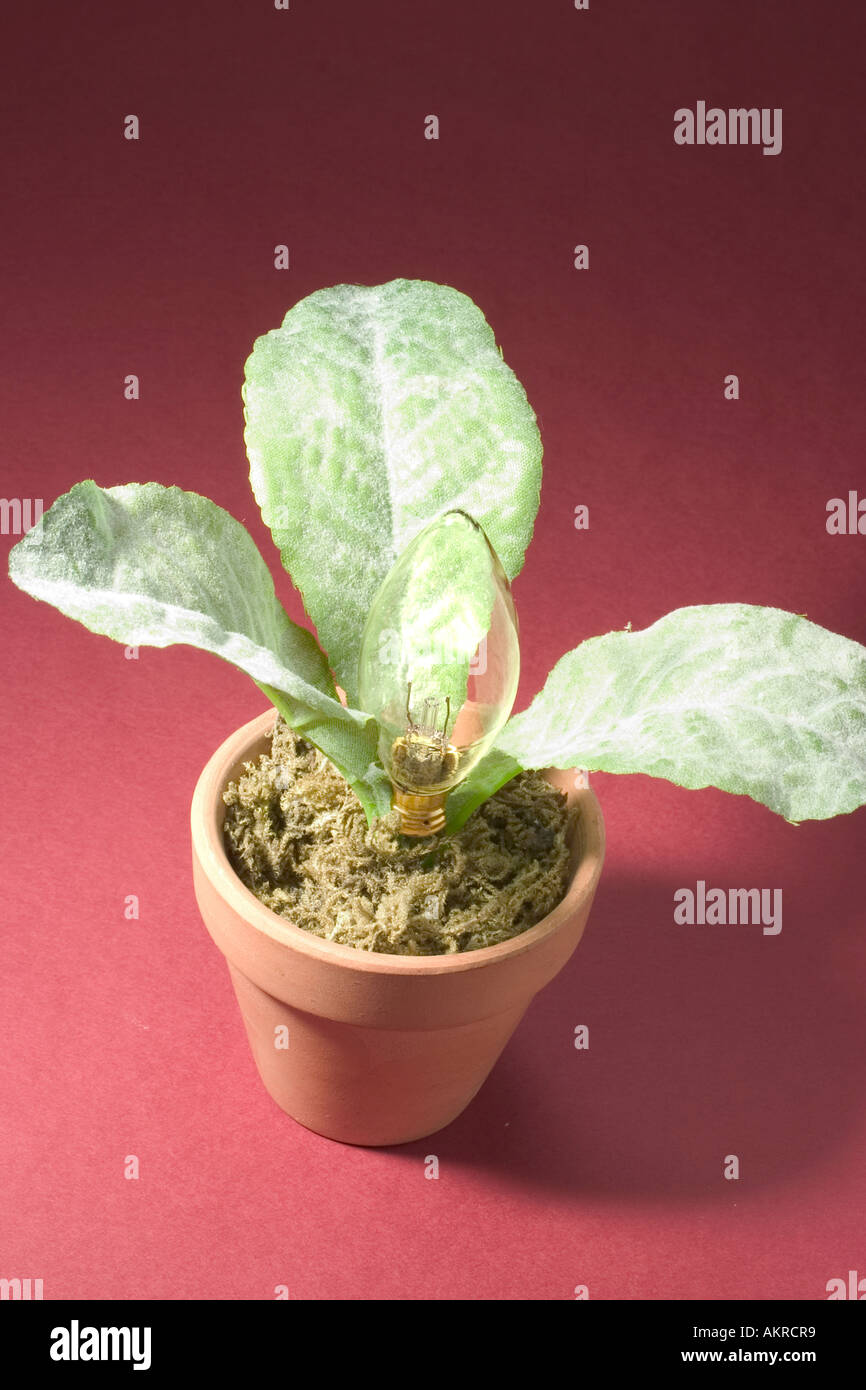 Artificial Pot Plant and Light Bulb Stock Photo - Alamy