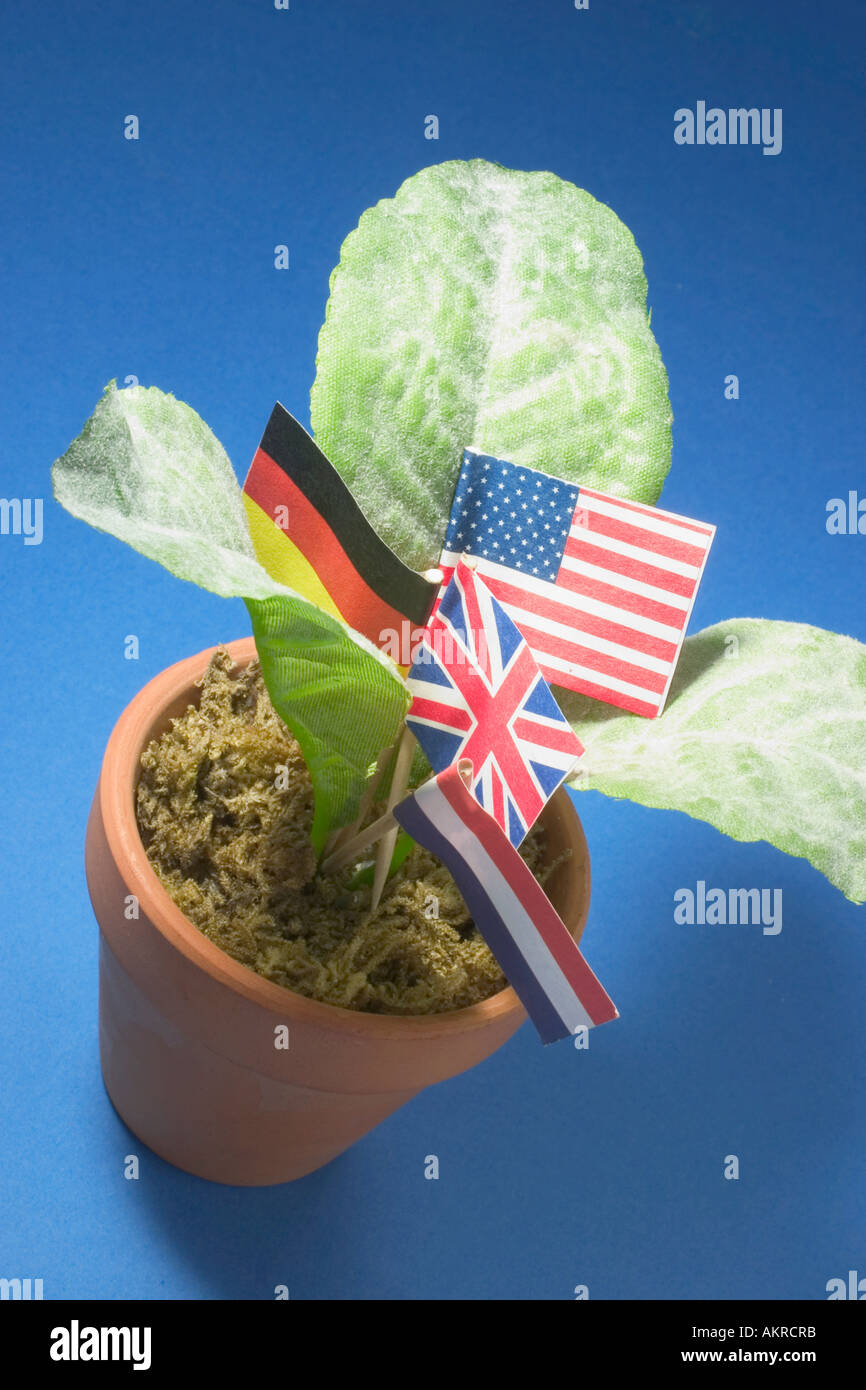 Artificial Pot Plant with Flags Stock Photo - Alamy