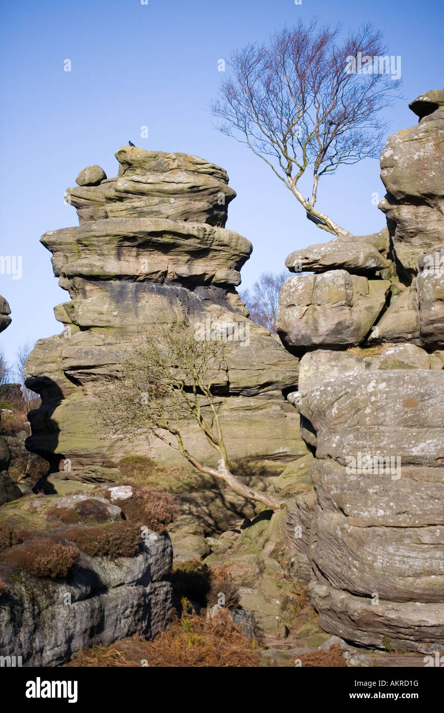 Brimham Rocks, Yorkshire Stock Photo - Alamy