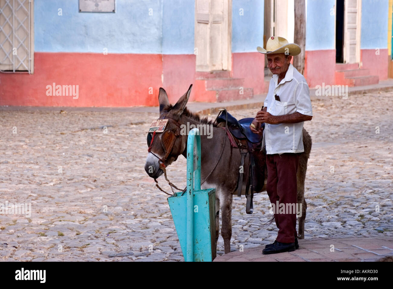 Donkey old man hi-res stock photography and images - Alamy