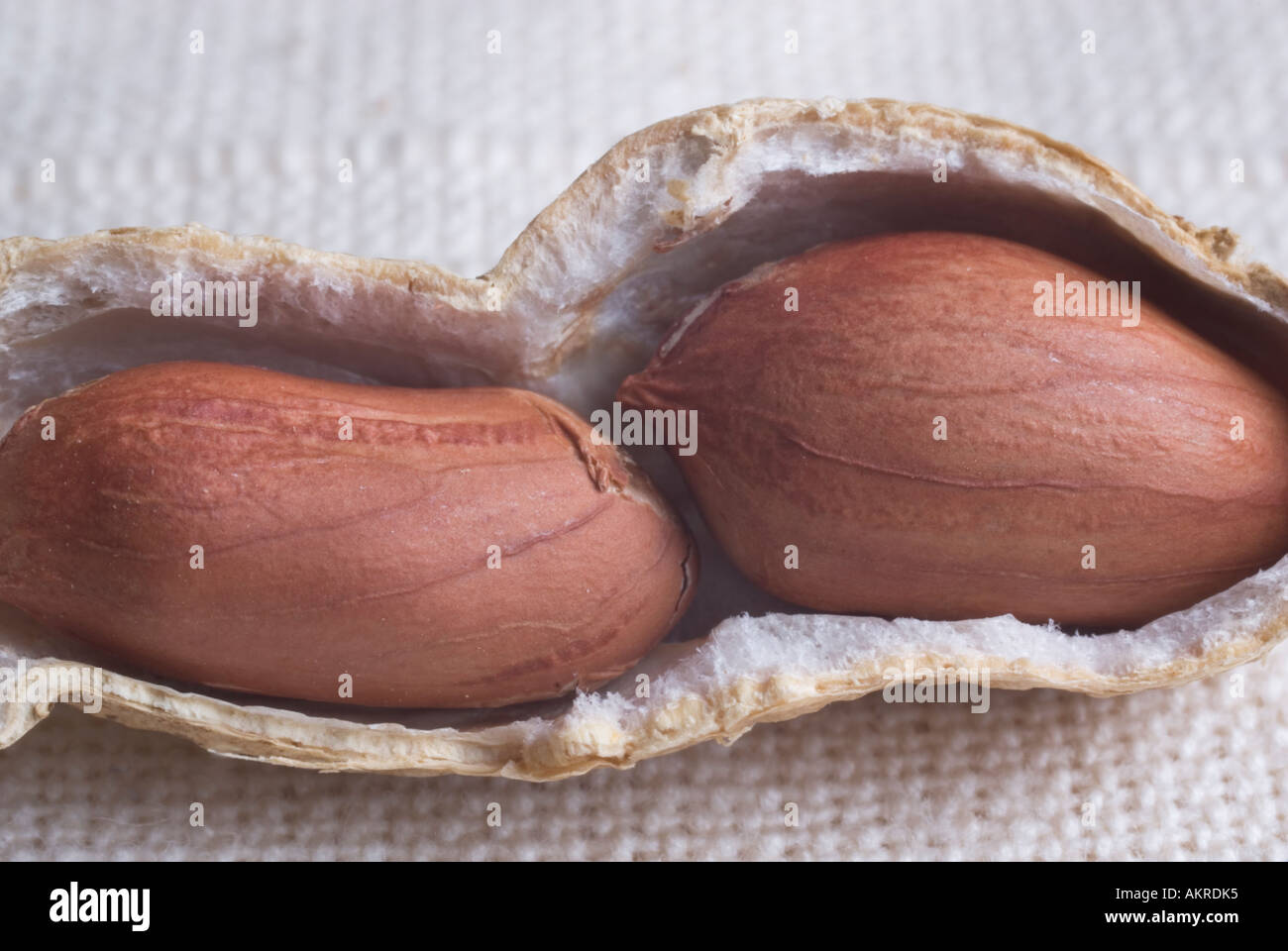 Cracked Peanut on Table Cloth Stock Photo - Alamy
