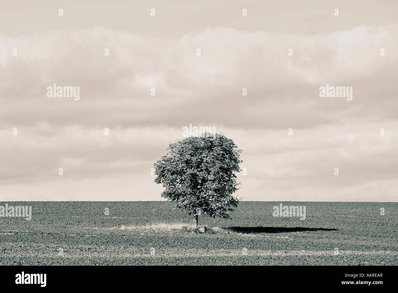 Lone or alone hi-res stock photography and images - Alamy