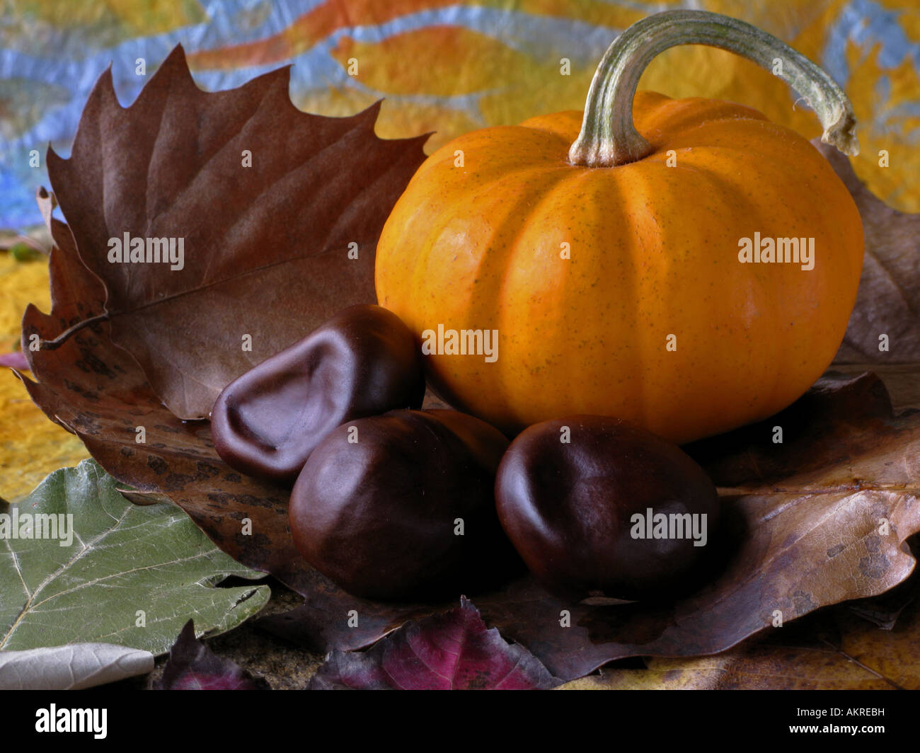 Autumn still life Stock Photo - Alamy
