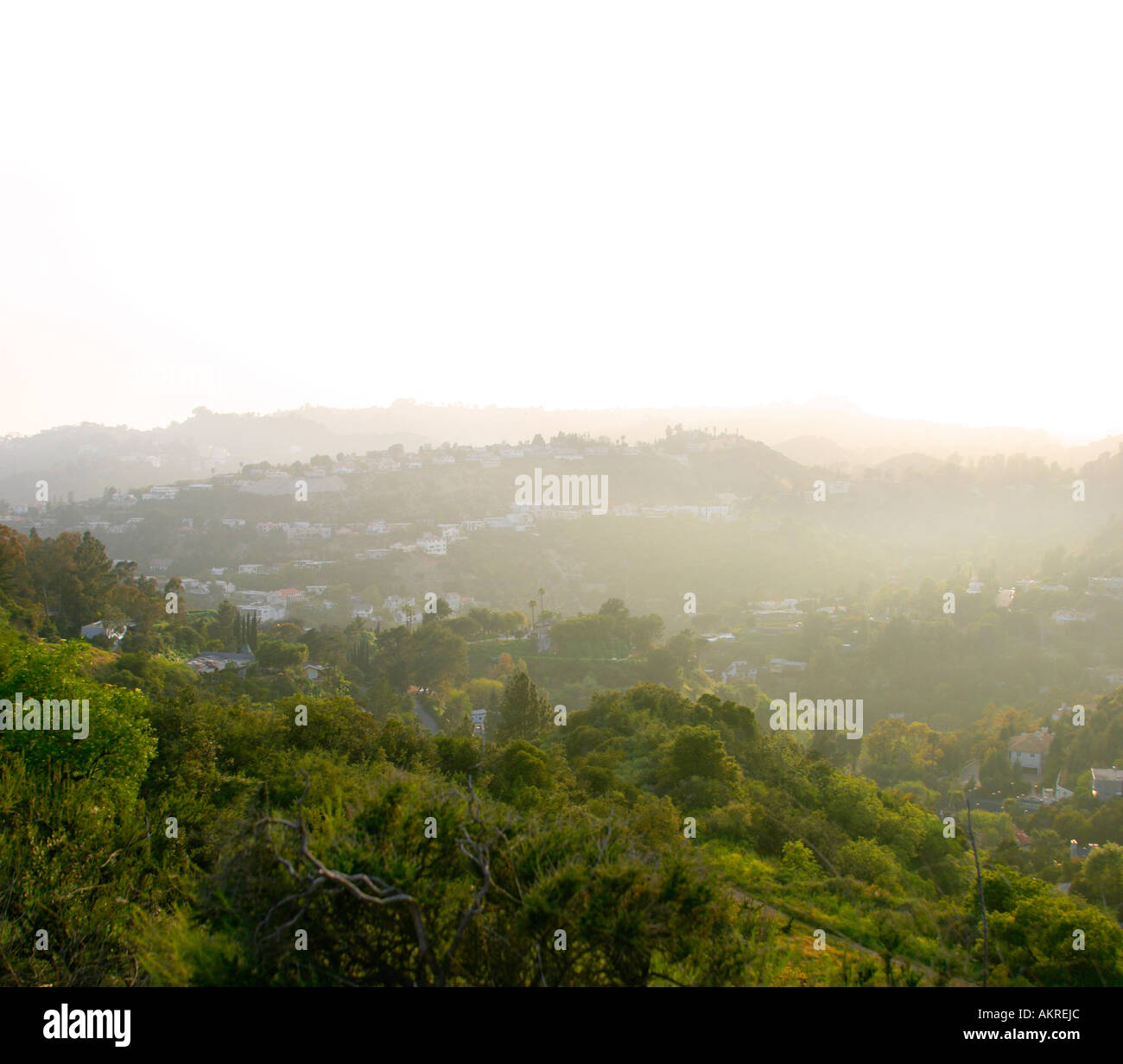 Runyon Canyon Park Hollywood Hills California USA Stock Photo - Alamy
