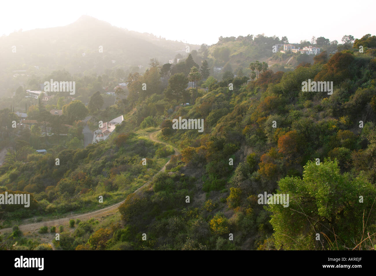 Runyon Canyon Park Hollywood Hills California USA Stock Photo - Alamy