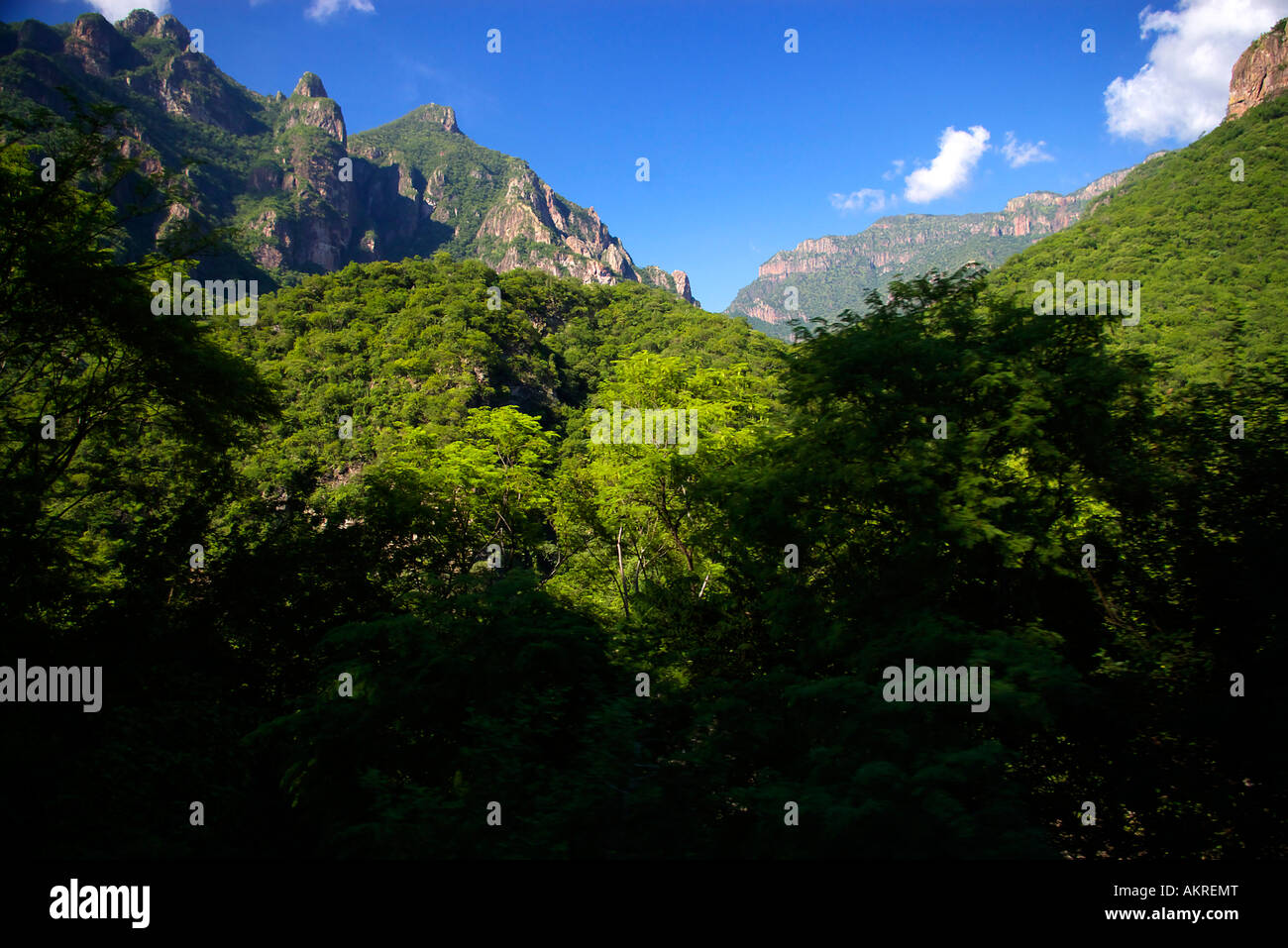 view along the copper canyon railway, mexico Stock Photo - Alamy