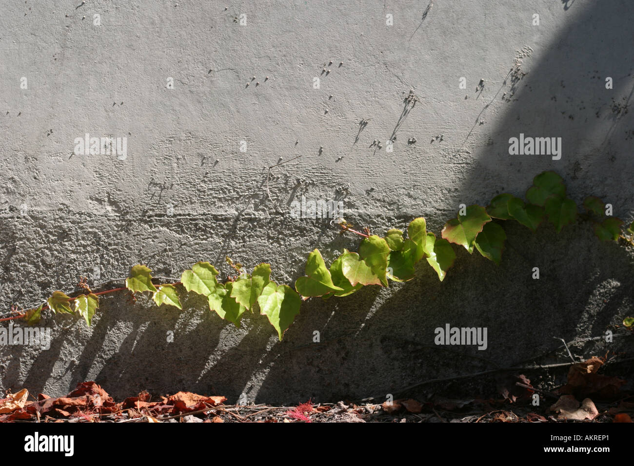 Abstract Stucco Background Stock Photo - Alamy