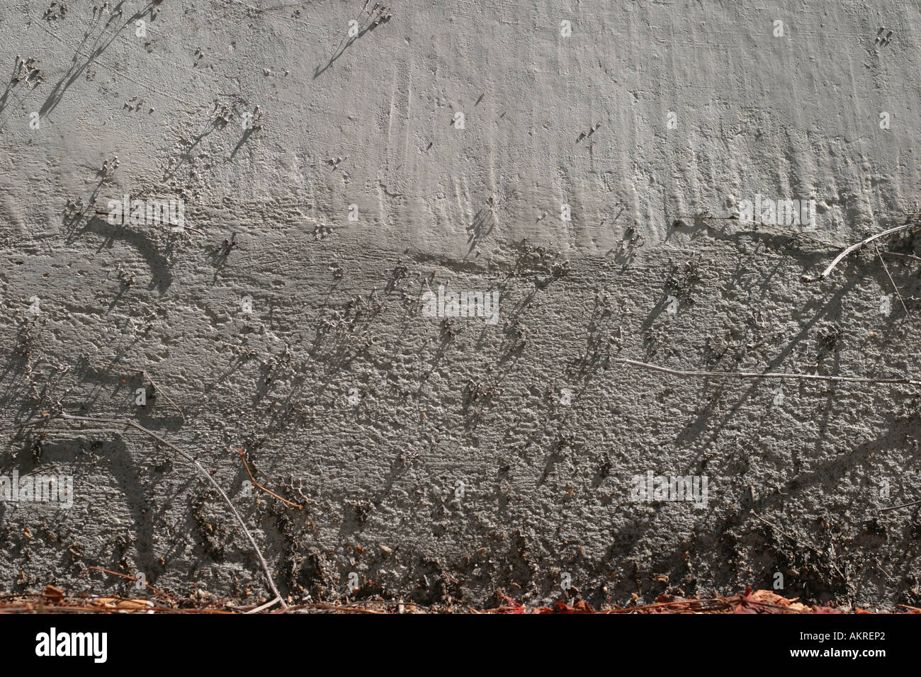 Abstract Stucco Background Stock Photo - Alamy