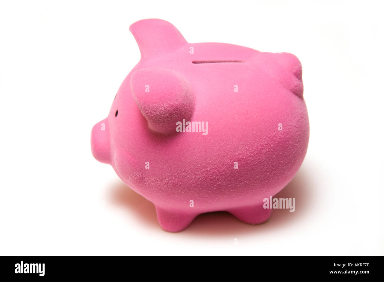 Pink piggy bank style money box isolated on a white studio background ...