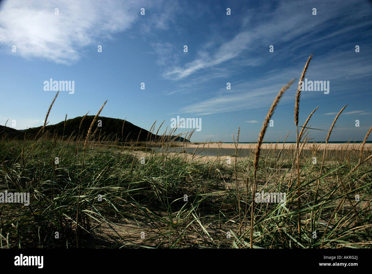Beach at Agva on the Black Sea Coast, Turkey Stock Photo - Alamy