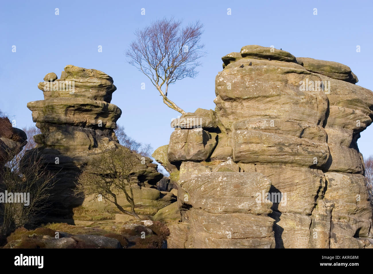 Brimham Rocks, Yorkshire Stock Photo - Alamy