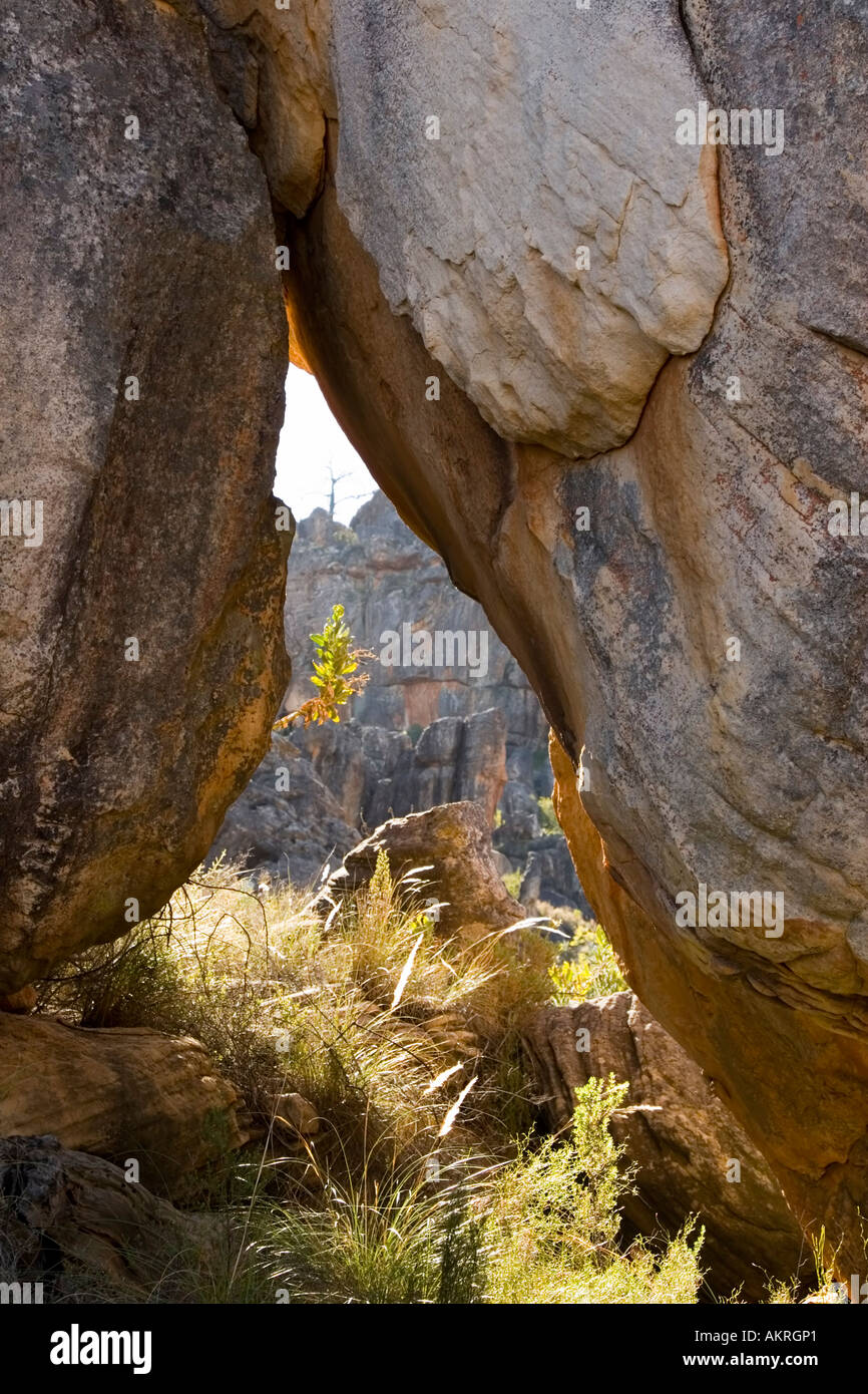 Rock formations in the Cedarberg Nature Reserve, Western Cape, South ...