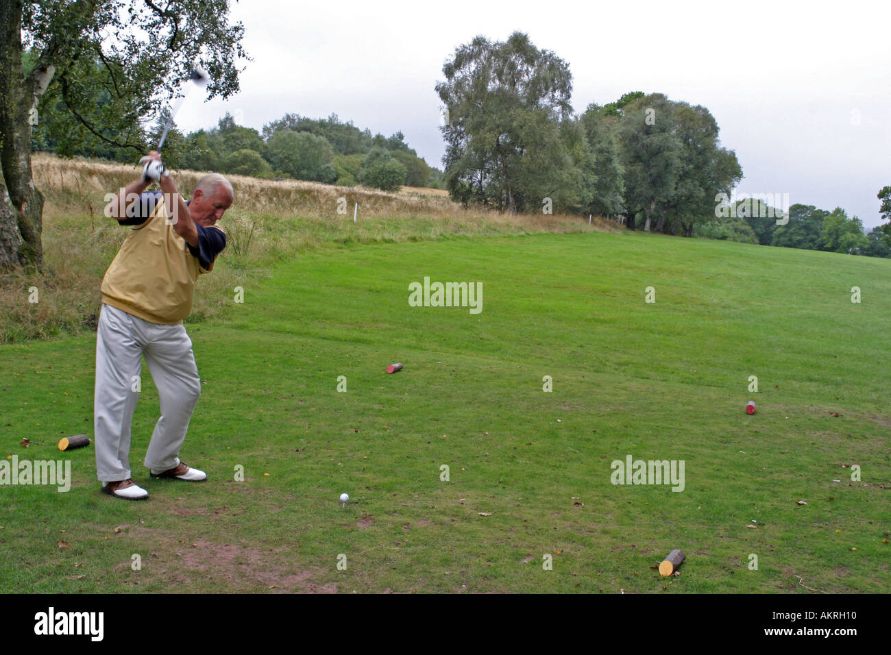 golfer teeing off on a golf course Stock Photo - Alamy