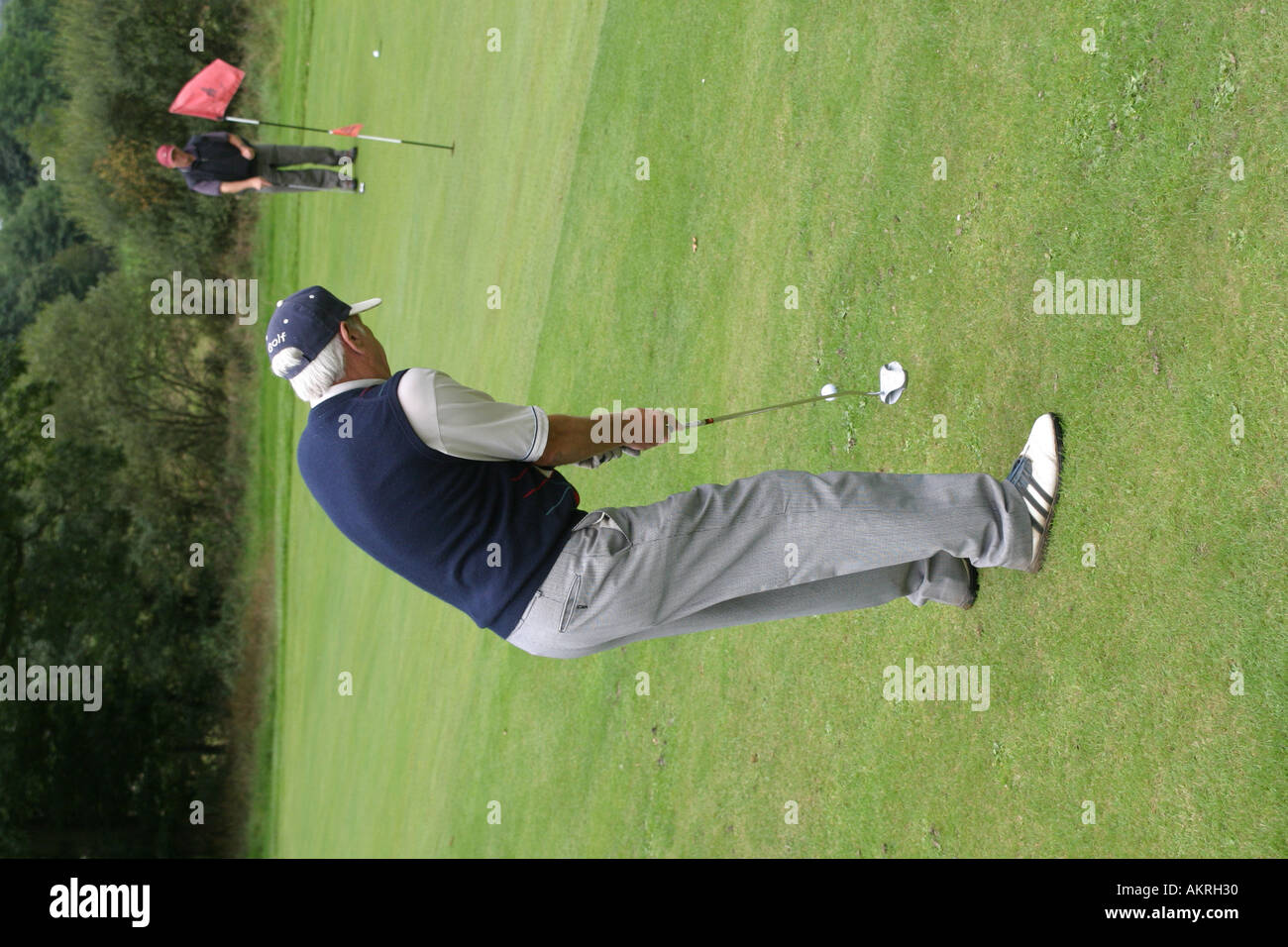 golfer putting a ball on the green into a hole Stock Photo - Alamy