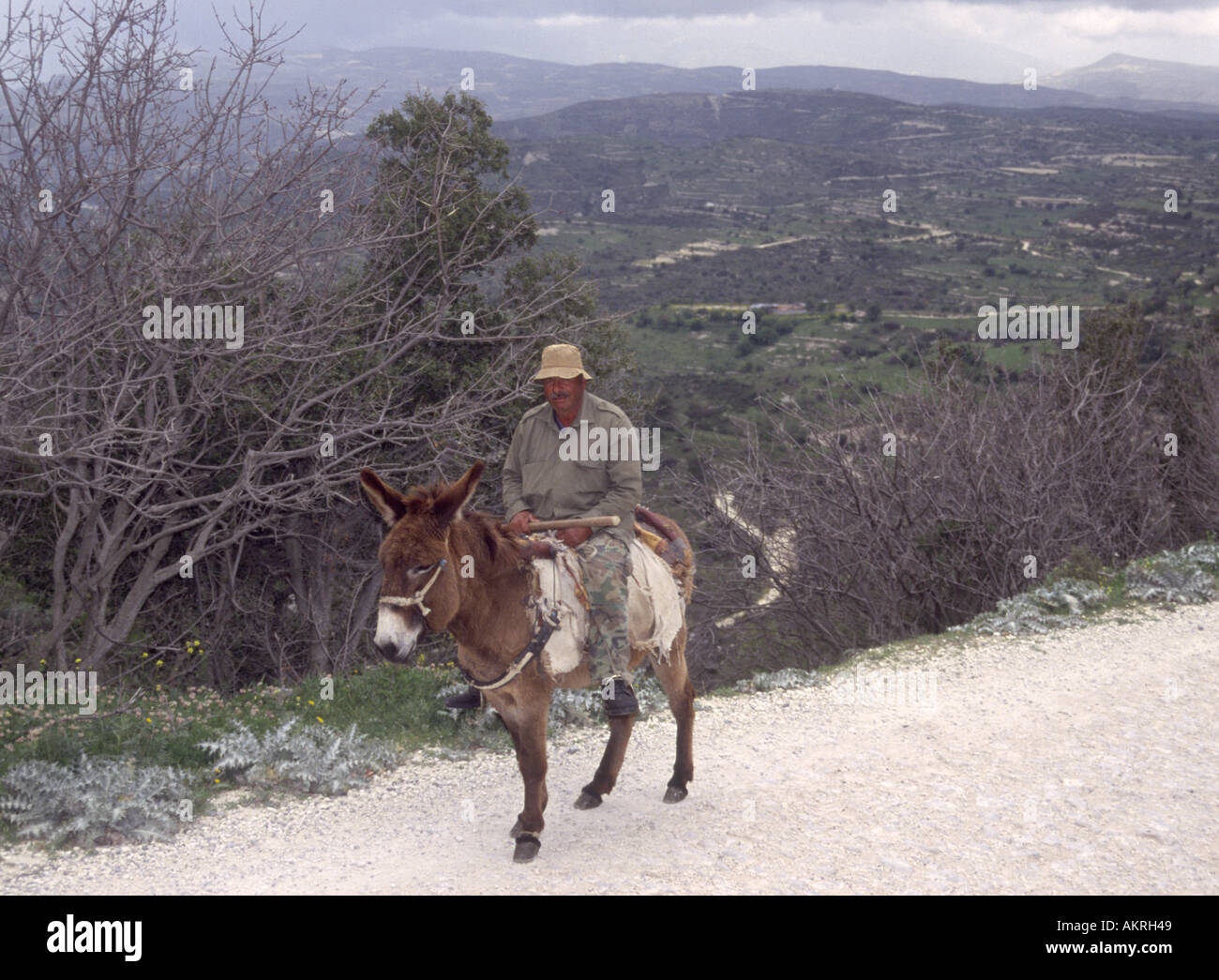 Cyprus Sheep Farmer Stock Photo - Alamy
