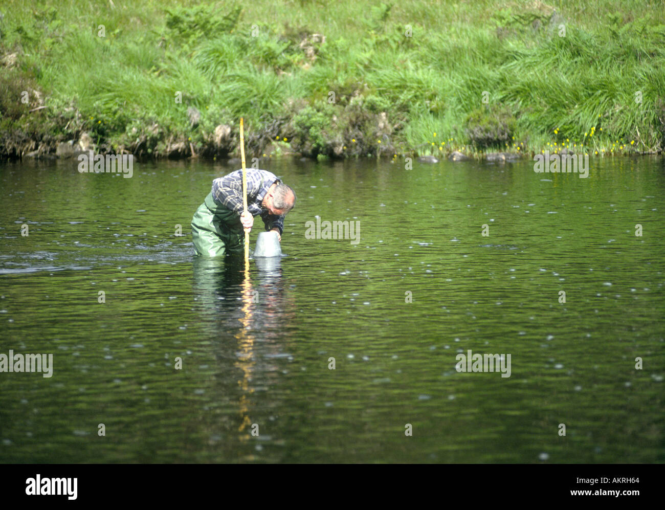Pearl freshwater fishing hi-res stock photography and images - Alamy