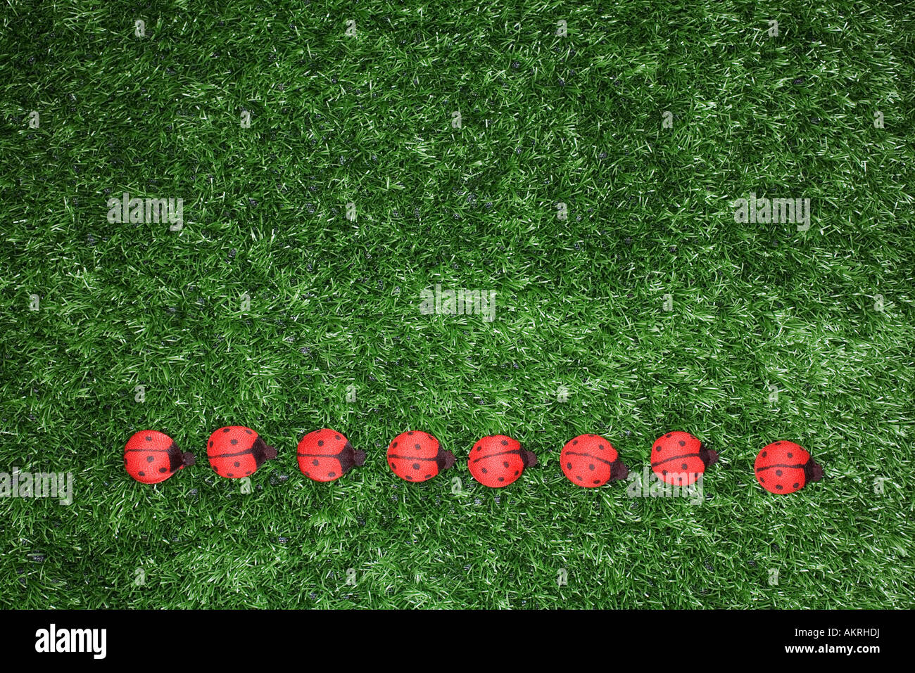Ladybirds group hi-res stock photography and images - Alamy
