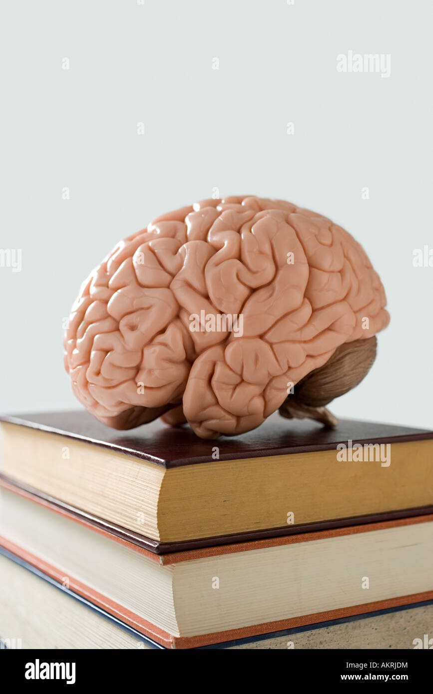 Brain on books Stock Photo - Alamy