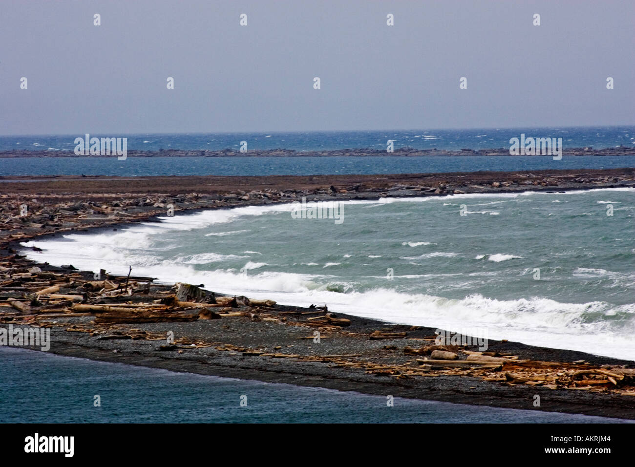 New Dungeness Spit, Sequim Washington Stock Photo - Alamy