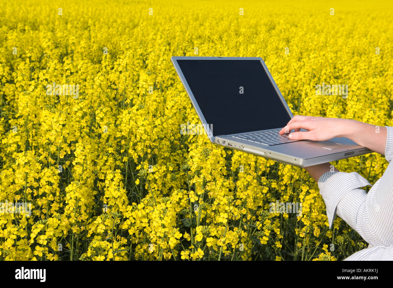 Person with laptop in field Stock Photo - Alamy