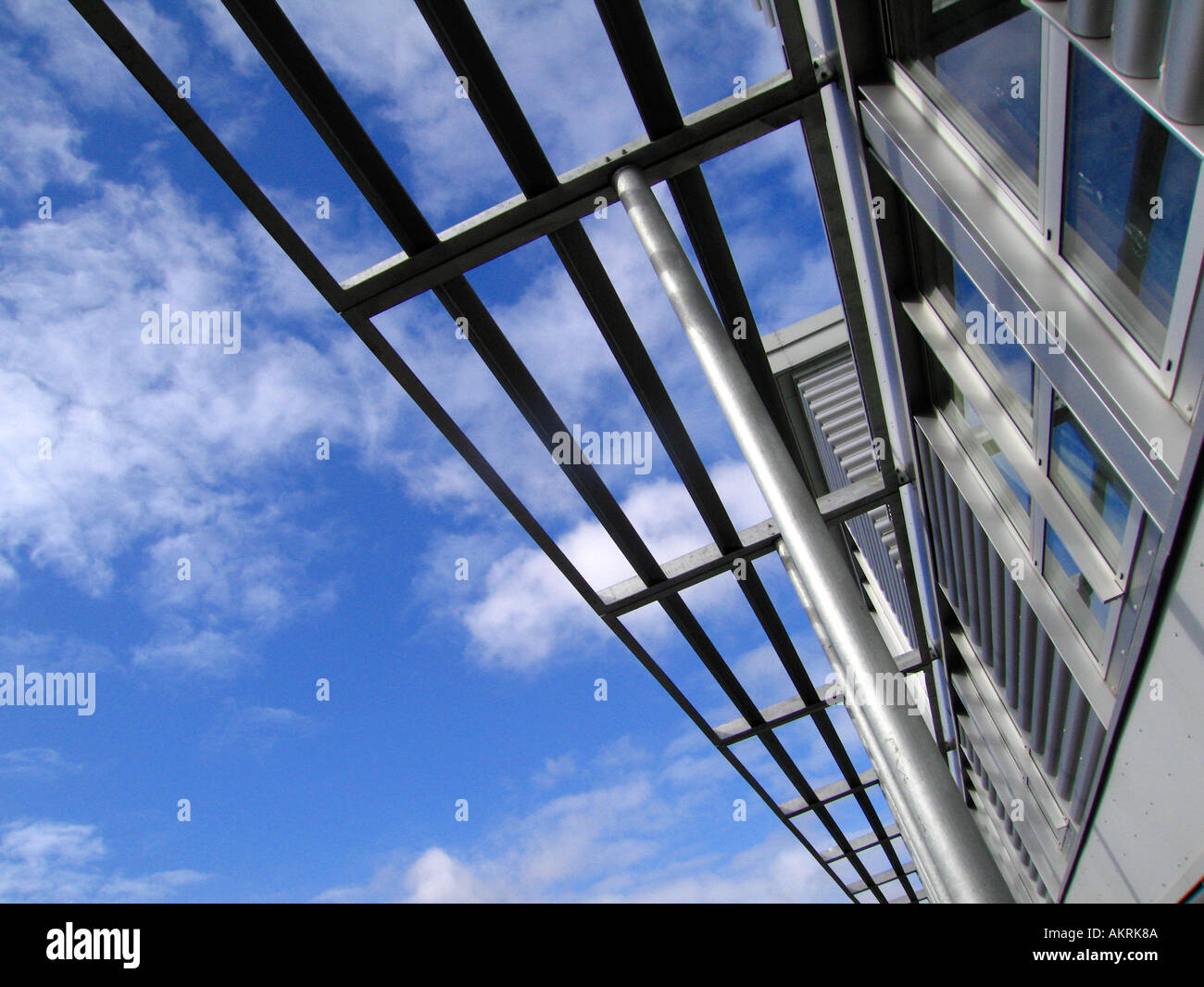 Feature fins hi-res stock photography and images - Alamy