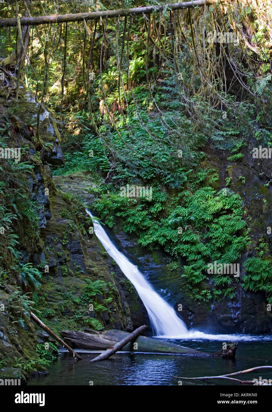 Goldstream Falls, Goldstream Provincial Park, Vancouver Island, British ...