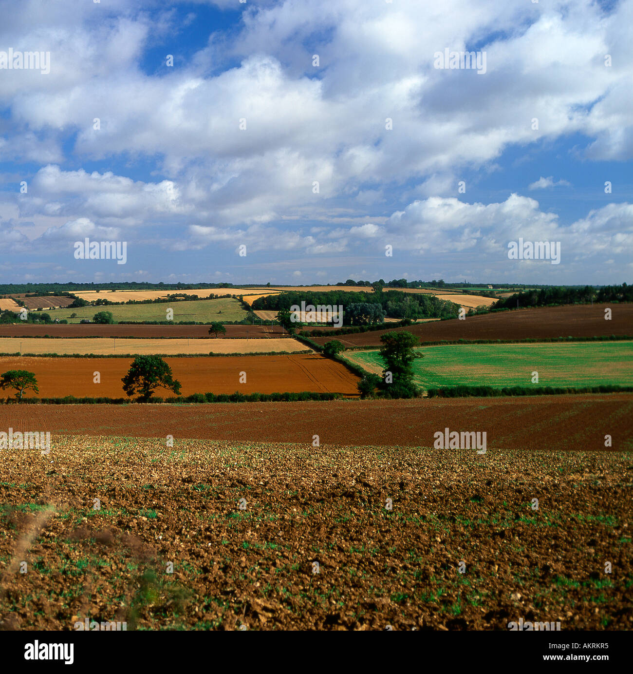 Autumn countryside at Burford in Cotswolds. Oxfordshire. England Stock ...