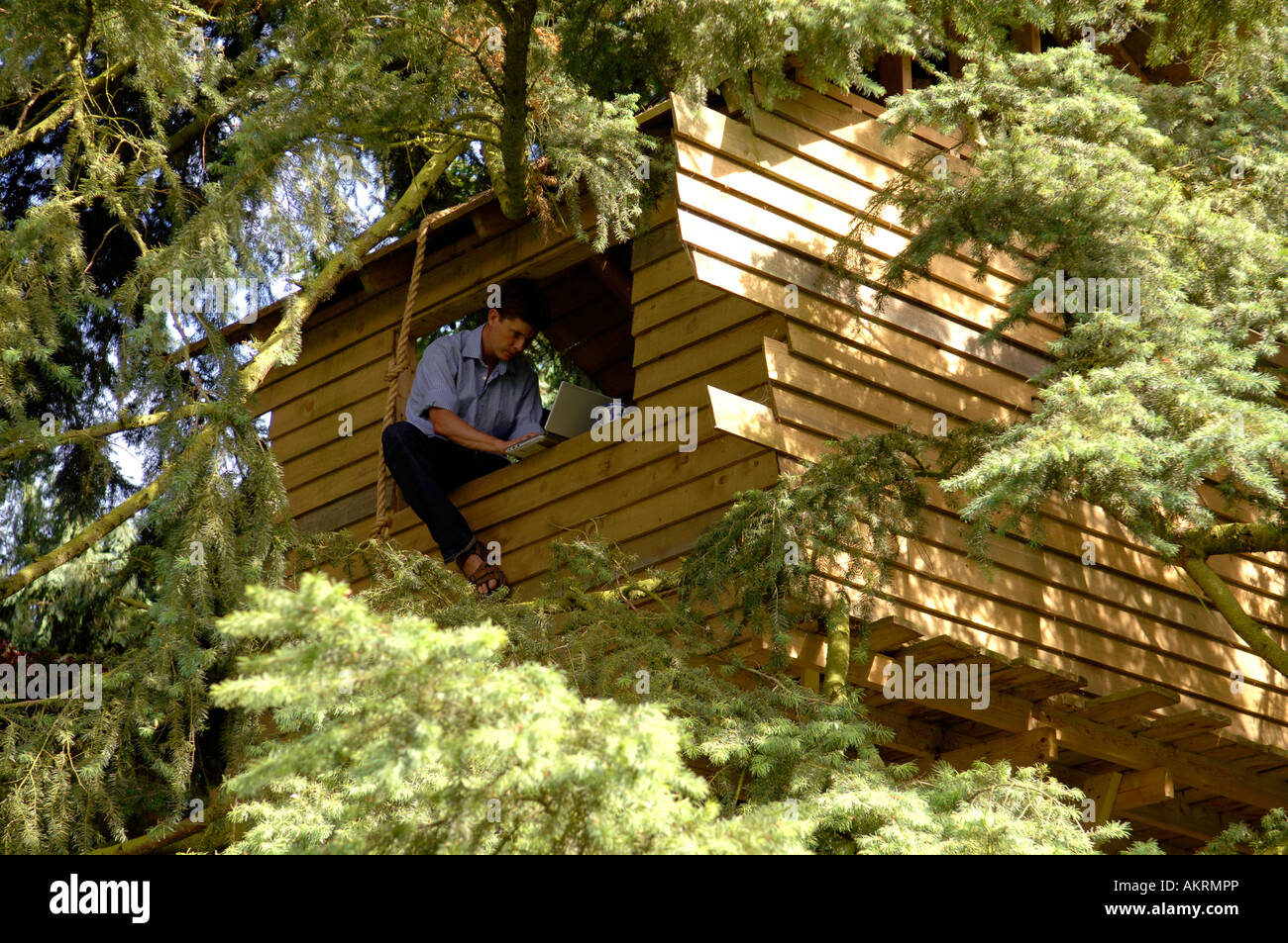 Interiors of treehouse hi-res stock photography and images - Alamy